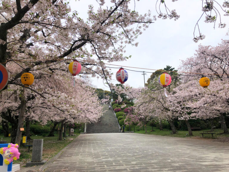 【中央区】西公園の楽しみ方｜ウォーキングや桜の花見におすすめ！